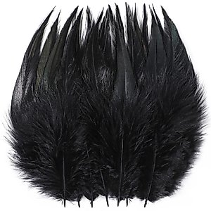 Holmgren Black Craft Feathers Bulk - 200pcs 5-7inch Rooster Feathers for DIY Crafts, Dream Catcher and Halloween Holiday Party Costume Decorations (Black)