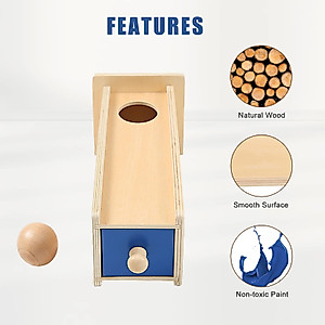 LEADER JOY Montessori Materials Object Permanence Box for Toddlers (Object Permanence Box w/Drawer)