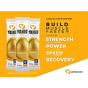 YOLKED - Clinically Tested and NSF-Certified All Natural Muscle Building Supplement - Increase Lean Muscle, Reduce Muscle Loss, and Improve Recovery with Protein’s Perfect Partner, 30 Servings