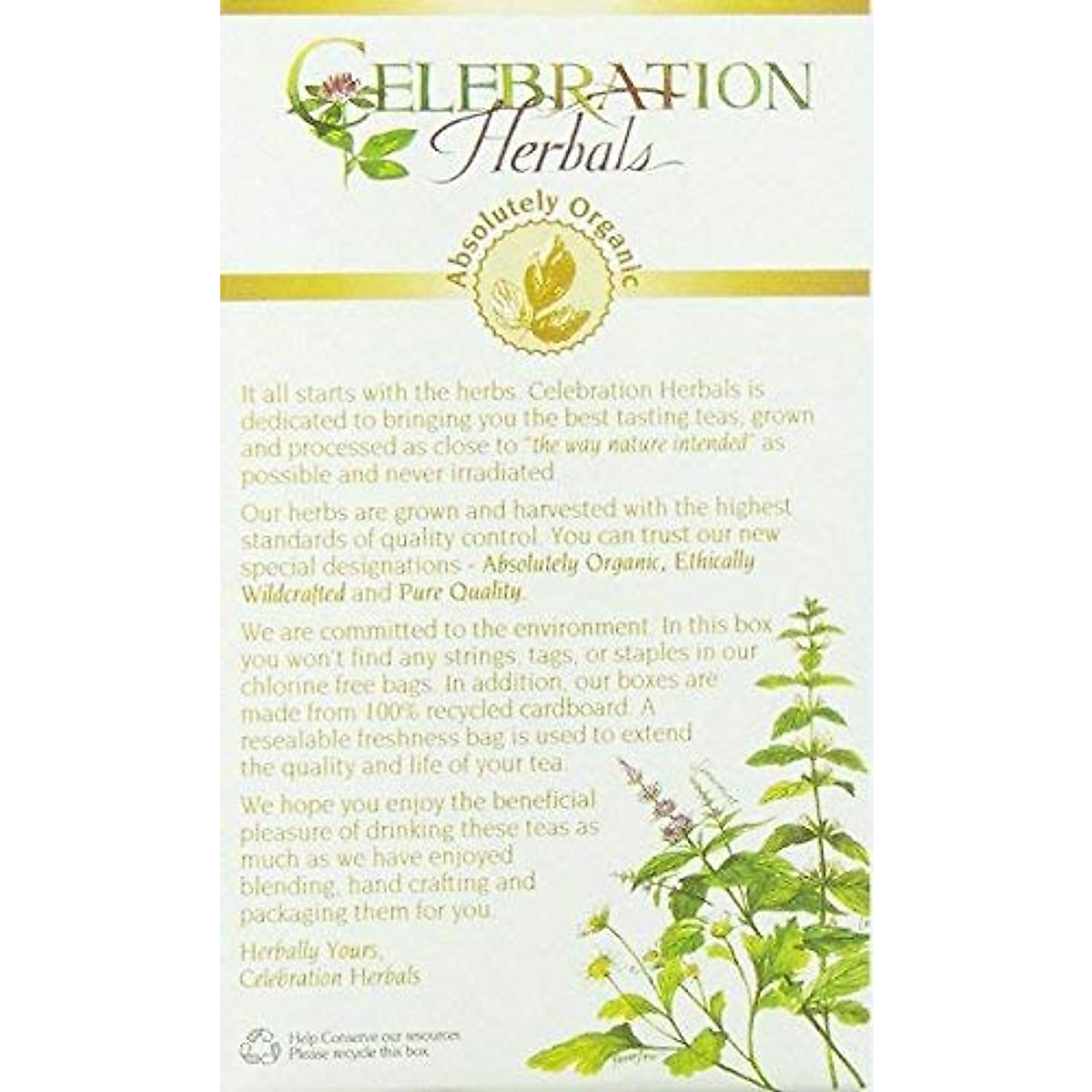 Celebration Herbals Organic Mullein Leaf Tea Caffeine Free - 2 Pack (48 Bags in Total)