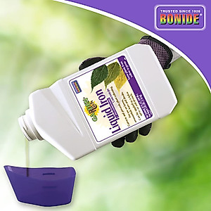 Bonide 299 Liquid Iron Complex Fertilizer Concentrate, 32-oz. - Quantity 1