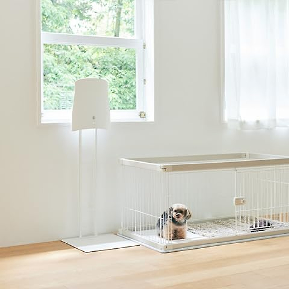 Sunstar QAIS Air Purifier Stand Bundle for Strong Odor, Viruses & Bacteria - Filterless, Quiet Wall-Mount Air Cleaner for Home, Bedroom - Pet Odor Eliminator, Cat Litter, Ammonia, Strong Smell Remover