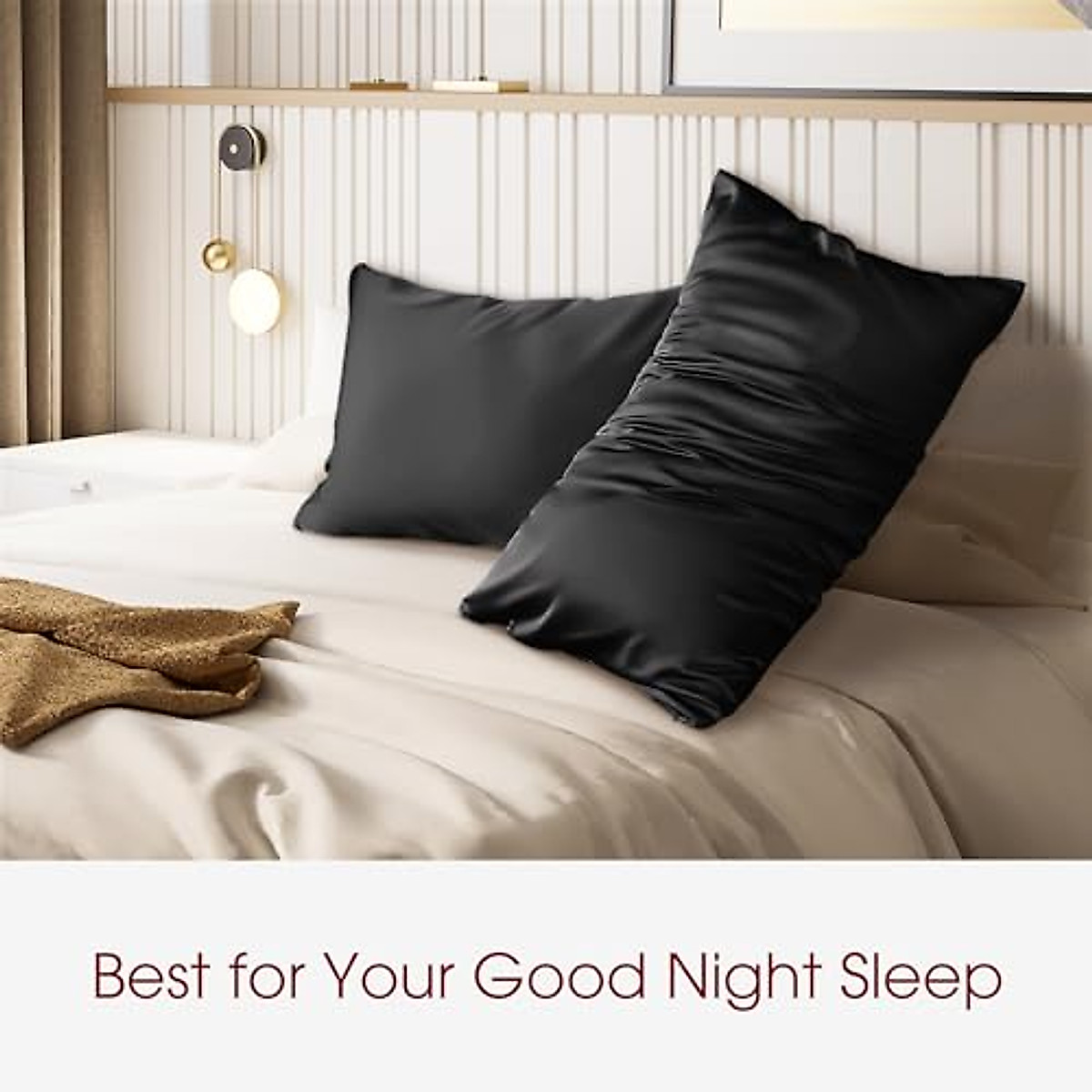 WLOSJ 100% Silk Pillow Cases 2 Pack Queen Size Mulberry Silk Pillowcase for Hair and Skin Set of 2 Highest Grade 6A Silk with Hidden Zipper, Black