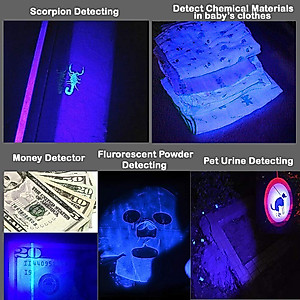 WAYLLSHINE (Pack of 5 Multicolored 3-Mode Flashlight: Red Light Flashlight, Green Light Flashlight, Blue Light Flashlight, 395 UV Light Flashlight, White LED Light Flashlight