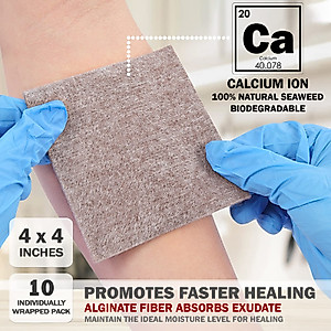 EVERLIT AG Silver Calcium Alginate Wound Dressing | Absorbent Non-Stick Sterile Dressing Pad | Gentle Hemostatic Gauze with Natural Gelling Fiber for Wound Care (4" x 4" | Pack of 10)