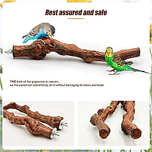 2 Packs Parrot Perch Stand,Natural Grapevine Wood Perch Parrots Cage Perch Toys Suitable for Small or Medium Parrots Parakeets Cockatiels Conures Lovebirds in Cage Accessories Supplies (Style-1)