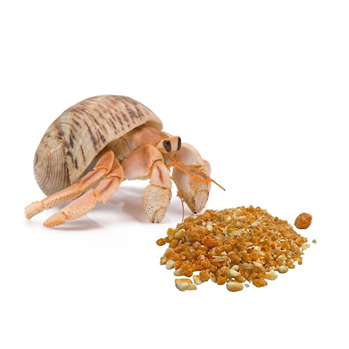 Florida Marine Research SFM00007 Hermit Crab Treat, 1.5-Ounce