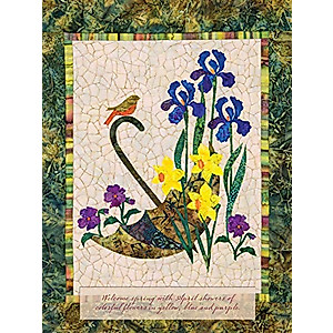 Seasonal Silhouettes: 12 Inspirational Quilt Blocks Featuring Raw Edge Applique (Landauer) Gorgeous Designs & Full-Size Patterns for Every Month of the Year, from Edyta Sitar of Laundry Basket Quilts