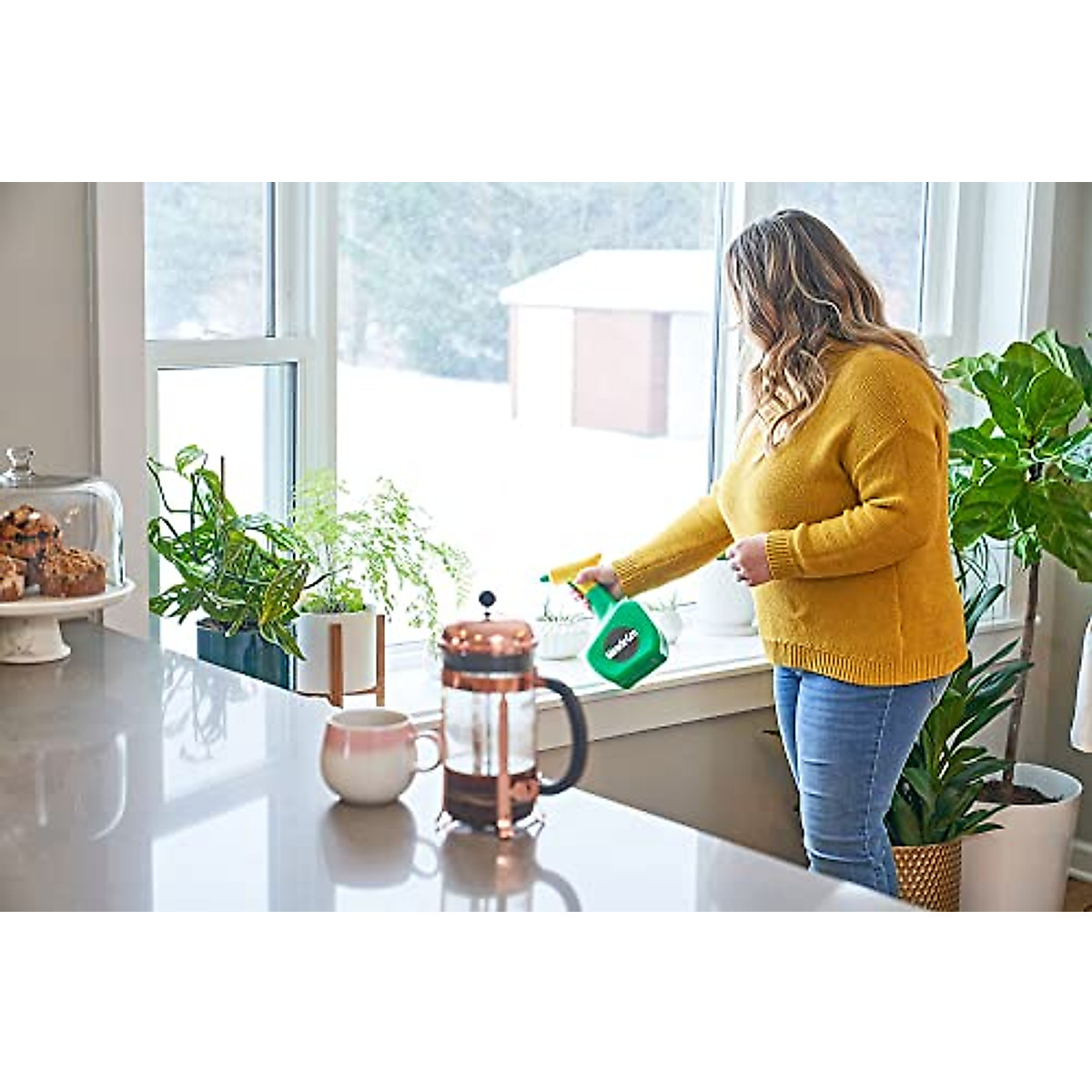 Miracle-Gro 190518 Battery Powered 48 oz. Handheld Sprayer, Green