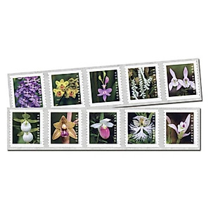 USPS Wild Orchids Flowers Forever Stamps Postal First Class US Postage Stamps Birthday Wedding Celebration Engagement Anniversary Bridal Shower (Strip of 10)