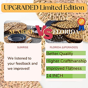 The Upper Kitchen Chargers for Dinner Plates – 14 inch Water Hyacinth Placemats, Woven Placemats, Rattan Chargers, Boho Charger Plates, Plate Chargers