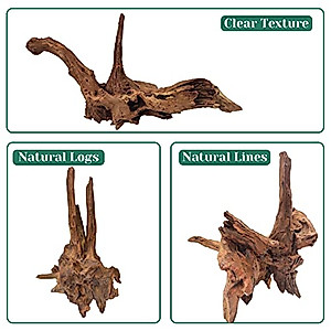 PINVNBY Natural Aquarium Driftwood Assorted Branches Reptile Ornament for Fish Tank Decoration Pack of 3