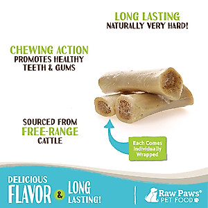 Raw Paws Filled Cow Femurs for Dogs - Peanut Butter Flavor, 5-6", 4-ct - Peanut Butter Filled Bones for Dogs - Filled Dog Bones for Large Dogs - Stuffed Dog Bones - Stuffed Bones for Dogs