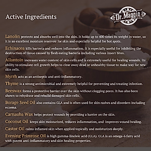 Dr. Maggie Skin Care Ointment for Dogs and Cats | First Aid for Hotspots, Scratches, and Wounds | 30g/1 oz