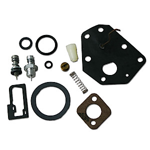Briggs & Stratton 494622 Carburetor Overhaul Kit