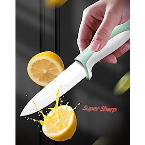 DESIAR Ceramic paring knife 4 inch super sharp ceramic fruit knife, hippo shaped kitchen knife with safety jacket (Green)