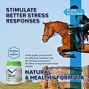 CareFound Taurine Pure Powder Support of Proper Nerve Transmission No Additives for Horse 1000g