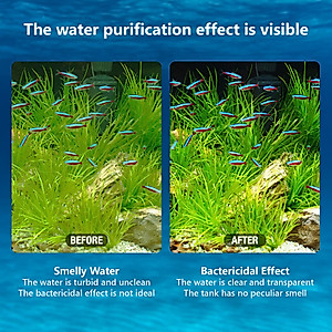 Top Fin Silenstream PF-L Refill for PF20, PF30, PF40 and PF75 Power Filters 6.5in x 4.5- (12 Count) 1 Year Supply