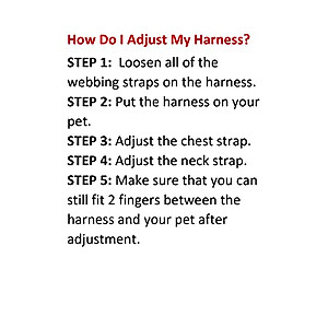 Voyager Step-In Air Dog Harness w/ Leash - All Weather Mesh Step in Vest Harness for Small and Medium Dogs by Best Pet Supplies - Black, S