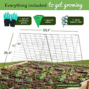 GOLETIO Cucumber Trellis for Raised Bed - 35" x 55" Garden Trellis for Climbing Plants Outdoor - A Frame Trellis for Climbing Vegetables with Plant Support Clips and Gloves