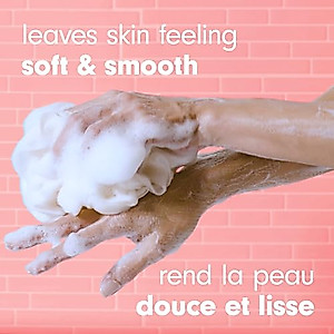 Softsoap Moisturizing Body Wash, Vanilla and Jojoba Oil - 20 Fluid Ounce (4 Pack)