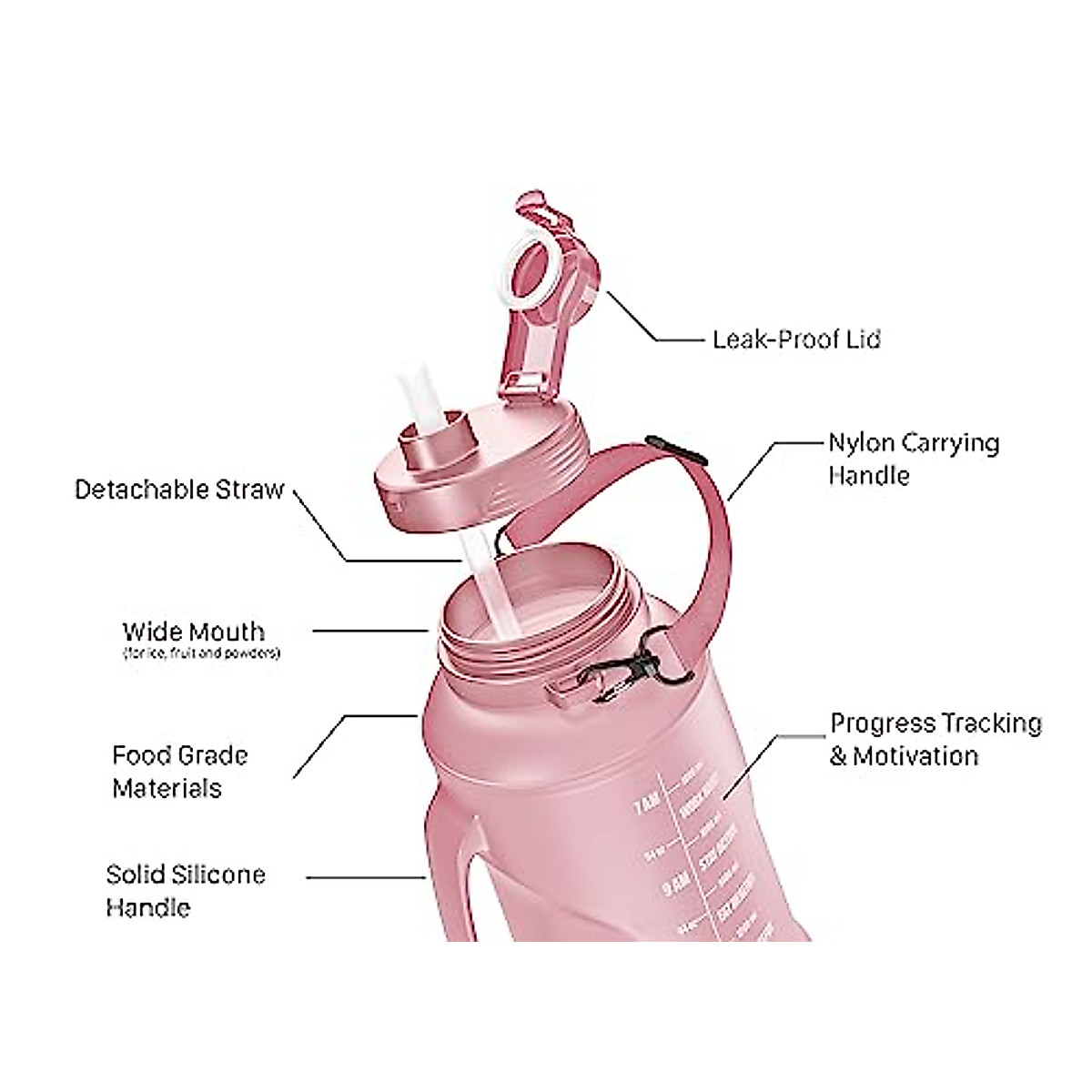 Collapsible Water Bottle for Traveling, Hiking 64 oz Gen 2.0 - Motivational Water Bottle with Time Markings - Half Gallon / 2 L Capacity - BPA Free & Dishwasher Safe (Fruity Pink)