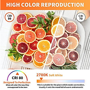 ALAMPEVER LED Candelabra Bulbs, Dimmable CA11 E12 LED Chandelier Light Bulbs, 2700K Soft White, 4W (40W Equivalent), 450LM, 12 Pack