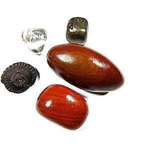 phoenix888 XUETZALCOATL Panchayatan Shila Sona Bhadra Shila Ganesh, Vallam Shila Sun God, Shaligram Vishnu, Banalingam Shiva, Swarnamukhi Shila Devi for Pooja