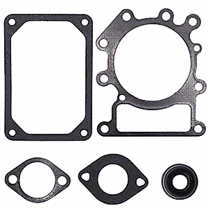 Cylinman 794152 Valve Gasket Kit Set Fit for Briggs & Stratton 794152 690190 Craftsman 18.5hp Intek Engine