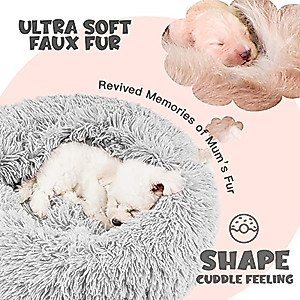 Himax Dog Beds for Small Dogs, Donut Dog Bed with Blanket Attached, Calming Dog Bed Washable Medium(20"/26"/35")