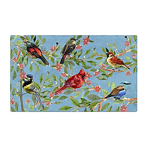 E-view Welcome Doormat for Front Door Non Slip Rubber Floor Mat - Decorative Doormats for Entrance Way Outdoors Indoors Door Mat Entrance Rug for Home Patio Garden (Birds)
