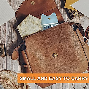 10 OZ Glass Water Bottle with Cat Ears Lid, Silicone Rope Cute Water Bottle, Leakproof Glass Drinking Bottle, Easy to Carry, Reusable (Pink)