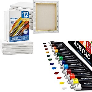 FIXSMITH 8 X 10 Inch White Stretched Canvases 12 Pack & Artist Quality Acrylic Paint Set, 12 Colors/Tubes (12 ml/0.41 oz.)