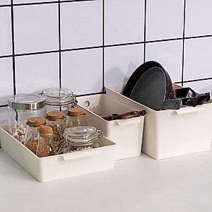 LUFOFOX Set of 2 Plastic Storage Baskets for Shelves with Labels,Small Pantry Organizer,White Storage Tray Baskets for Kitchen,Countertop,Cabinet, Bedroom,Office and Bathroom(Large,White)