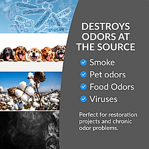 New Comfort SS12000 Commercial Ozone Generator and Air Purifier, 9000 to 20000 mg/hr, Powerful Ozone Generator for Industrial Use