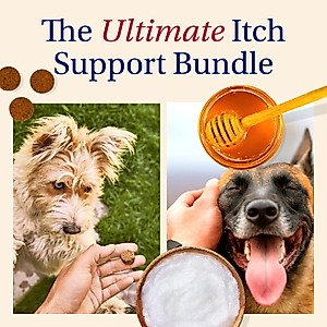 PetLab Co. Dog Itchy Skin Bundle: Soft Chew Dog Probiotics for Gut Health, Itchy Skin, Seasonal Allergies 30 Count & Dog Itch Relief Chews for Dry, Itchy Skin & Coats 30 Count