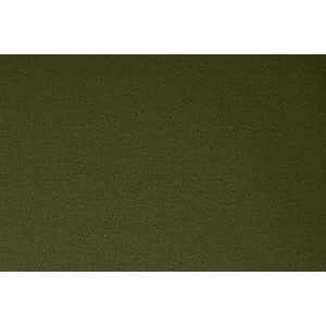 Novogratz Brittany Sofa Futon, Premium Linen Upholstery and Wooden Legs, Green Linen