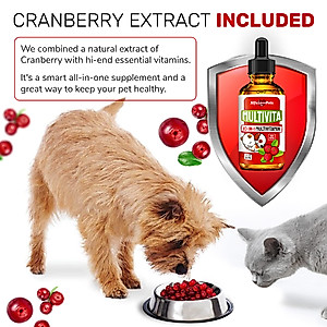 Сat Vitamins for Indoor Cats in Drops – Liquid Multivitamin for Dogs – Dog Multivitamin Liquid Supplement – Cat Multivitamin – Multivitamin for Dogs – Vitamin C for Cats – 2 oz