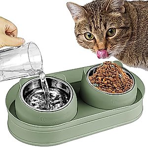KEVIDEAWL Elevated Cat Food Bowls, Raised Cat Bowl with Stand Stainless Steel, Tilted Cat Bowls Anti Vomiting, Double Cat Food and Water Bowl Set for Cats (Green)