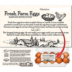Havongki 100pcs Premium Fresh Farm Eggs Handling Instructions Care Accessories Cards Labels | Egg Blank Cartons 4 6 12 15 18 30 48 50 Count Basket Box Container Storing Extra Organizer (M03-1CH)