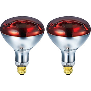 BULBMASTER 250 Watts R40 Red Heat Lamps Outdoor Bulbs for Pets Flood Light Bulb for Chickens Infrared Reflector 250W R40 Incandescent Medium E26 Base 2 Pack