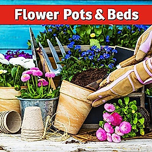 I Must Garden Squirrel Repellent – 2lb Granular (Repels Chipmunks): Stops Digging in Gardens, Flower Pots, and Beds – Easy Shaker Jar