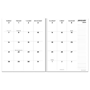 TF Publishing, Magic Mushroom Med Monthly 2024 Planner