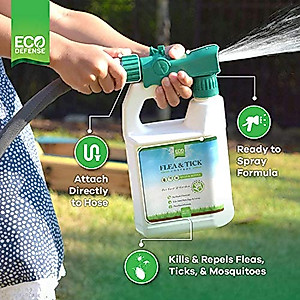Eco Defense Flea, Tick, and Mosquito Spray for Yard and Perimeter - Safe Around Kids, Pets, Plants - Outdoor Barrier Control & Repellent - Ready-to-Spray Covers Up to 5,000 sq ft