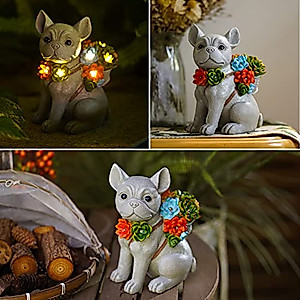 Qeeman A Bundle of Cat with Lantern and Dog