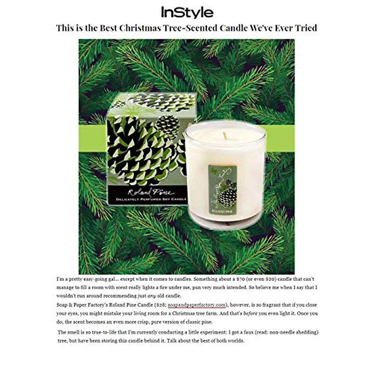 Soap & Paper Factory Roland Pine 9.5 oz Large Soy Candle