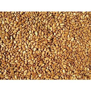 Cole's HM10 Hot Meats Bird Seed, 10-Pound