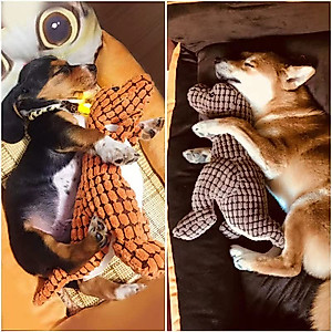 Dog Pet Chew Toys Plush Chewing Toy, Aggressive Chewers Durable Molars Training Toy, Resistant Cute Dinosaur Shape Pet Stuffed Toy for Teeth Grinding,Built-in air Pressure Sound Device