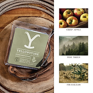 Yellowstone Wax Melt 3 Pack, 2.5 oz - Paradise Valley, Campfire Suede, Pinecrest Ridge