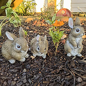 Besti Bunny Statue Yard Garden Decorations (3 Bunnies) | Cute Rabbits Look Great in Any Outdoor Living Space | Small Bunnies Can Also Be Used for Kitchen & Table Decor | 2-7/8 x 4 x 4-1/4 Inches